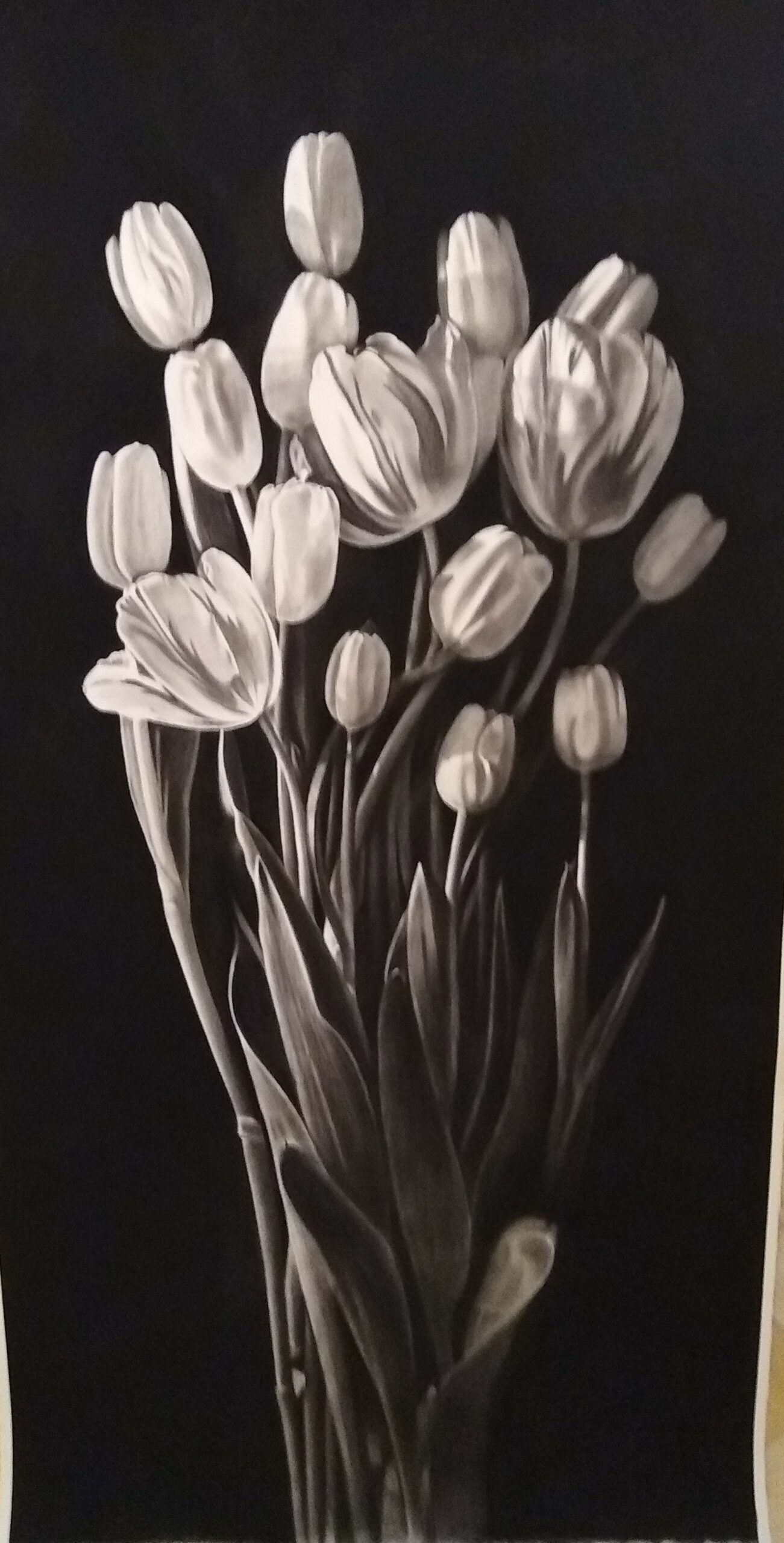 Robert Jennings Fine Art | The art of Robert Jennings